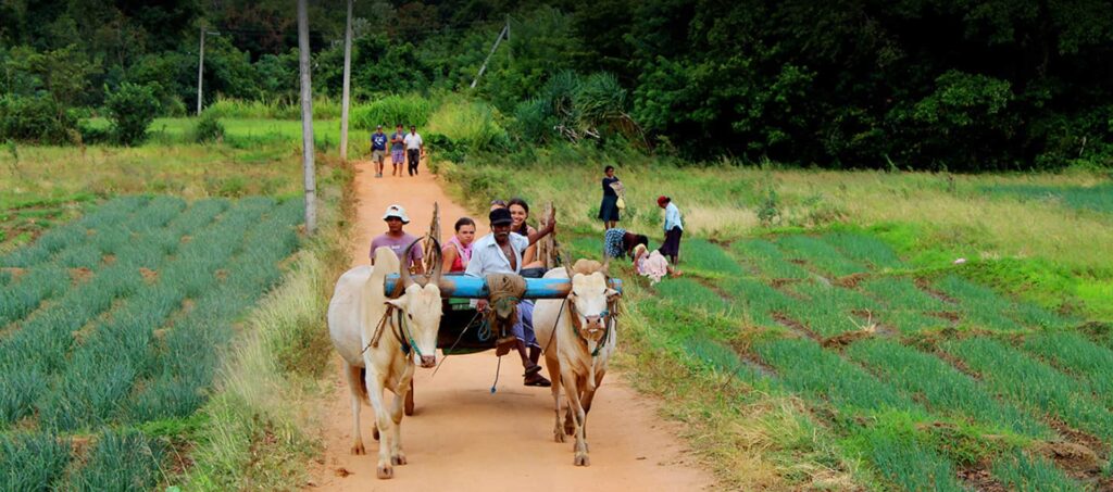 Sigiriya and Village Farm experience - kiptra